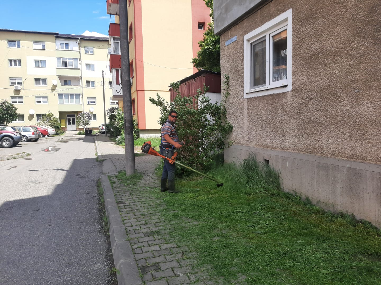 Municipiul Sebeș pune preț pe aspectul său îngrijit - Revista Urbea Mea ...